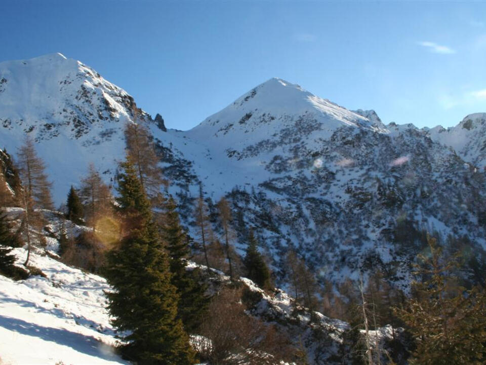 Montagna Trip: Ring of the “Colmei di Ronco” - Trentino